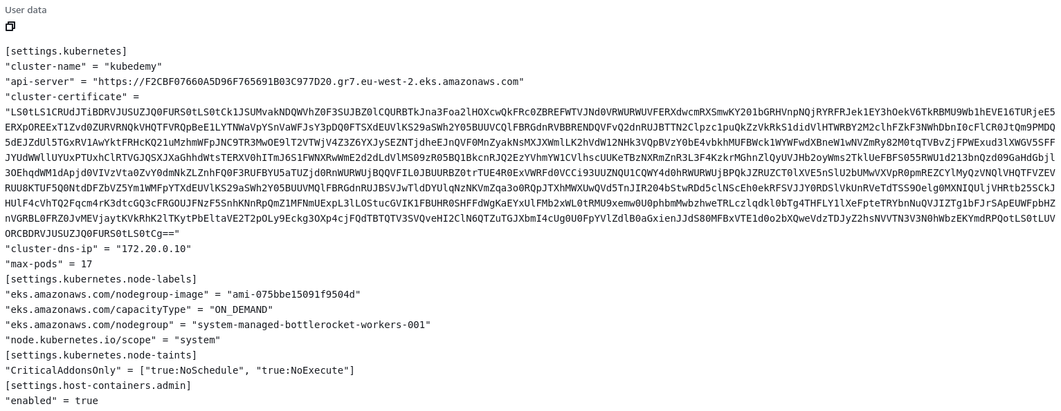 AWS EKS - Part 6 - Deploy Bottlerocket Workers and Update Operator | Kubedemy